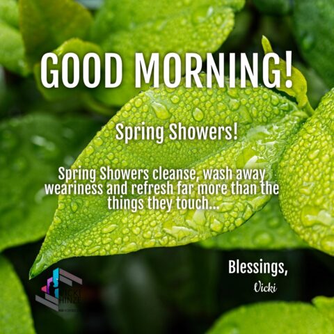Good Morning: Spring Showers! | Vicki Hinze