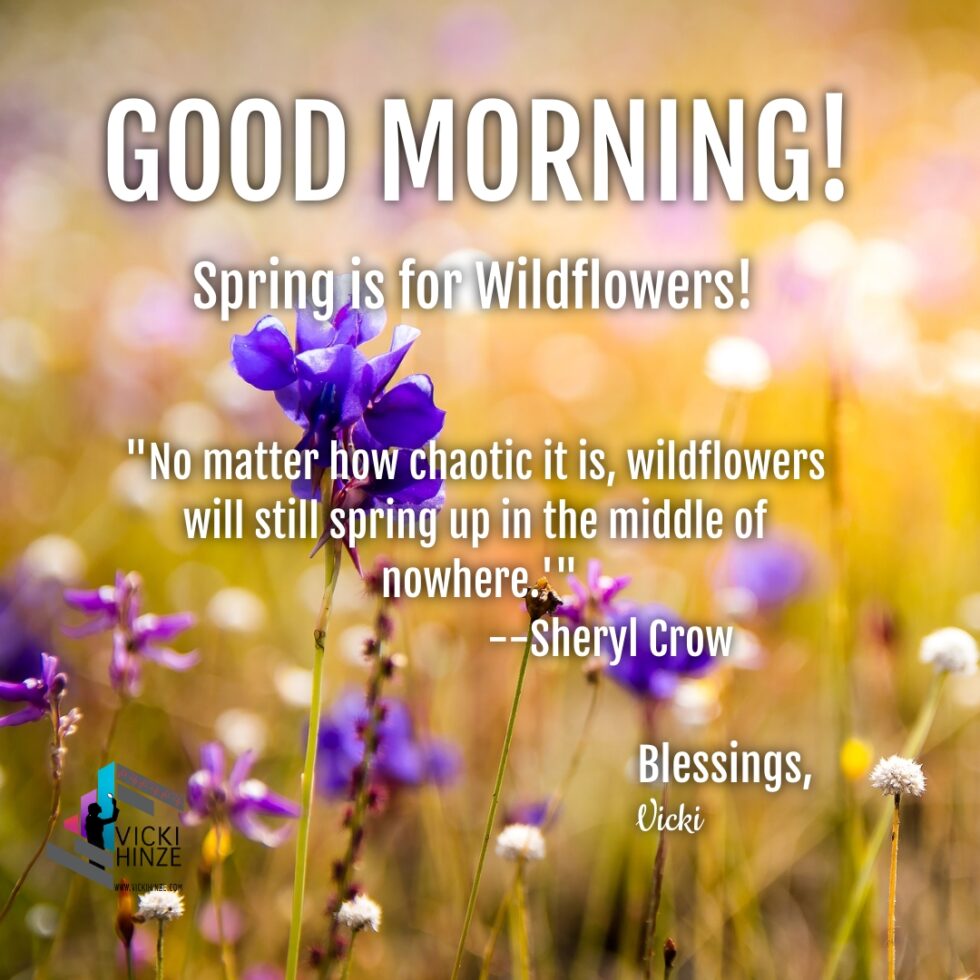 Good Morning: Spring is for Wildflowers! | Vicki Hinze